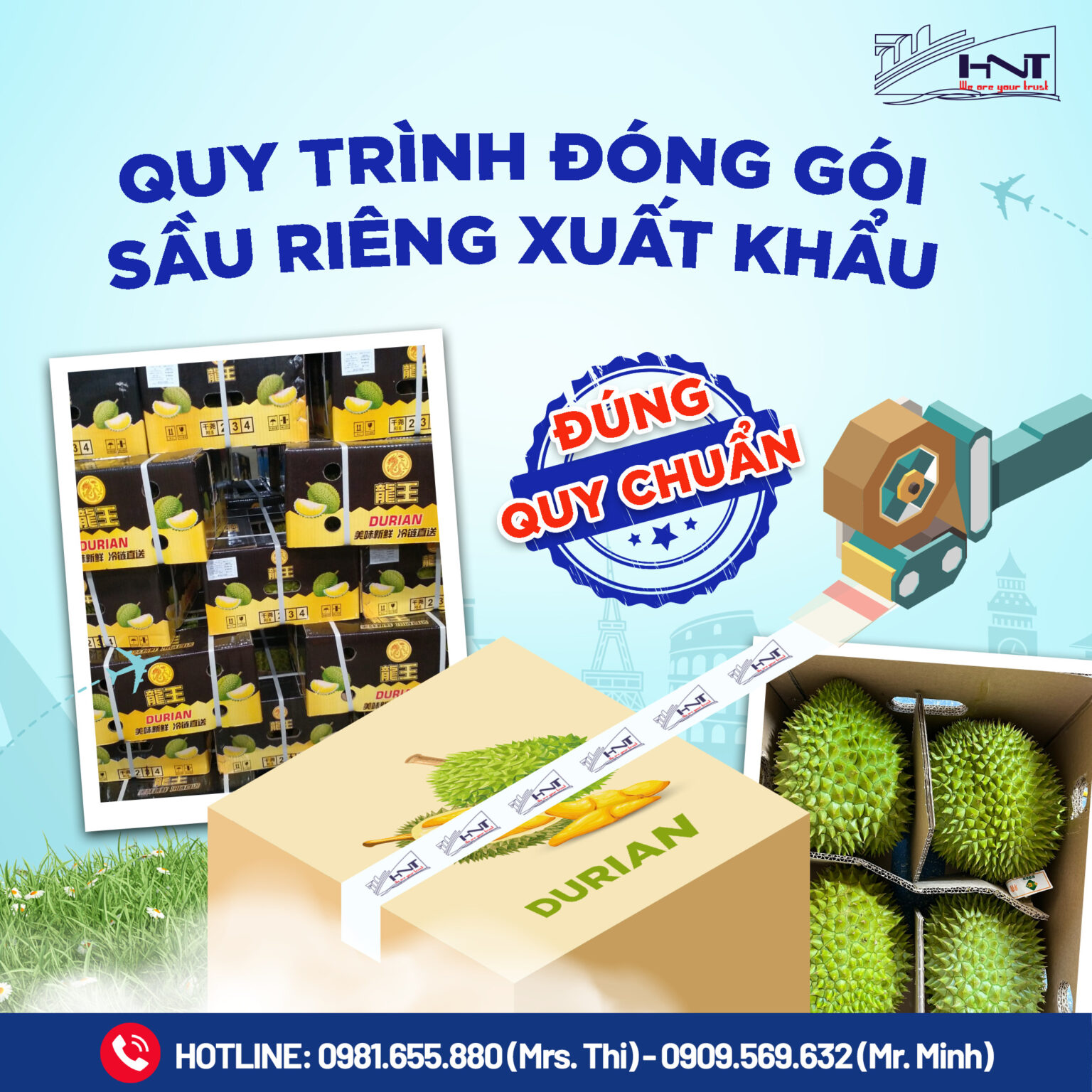 Shipping way Durian Away Standard Export - TRADING Company Freight ...