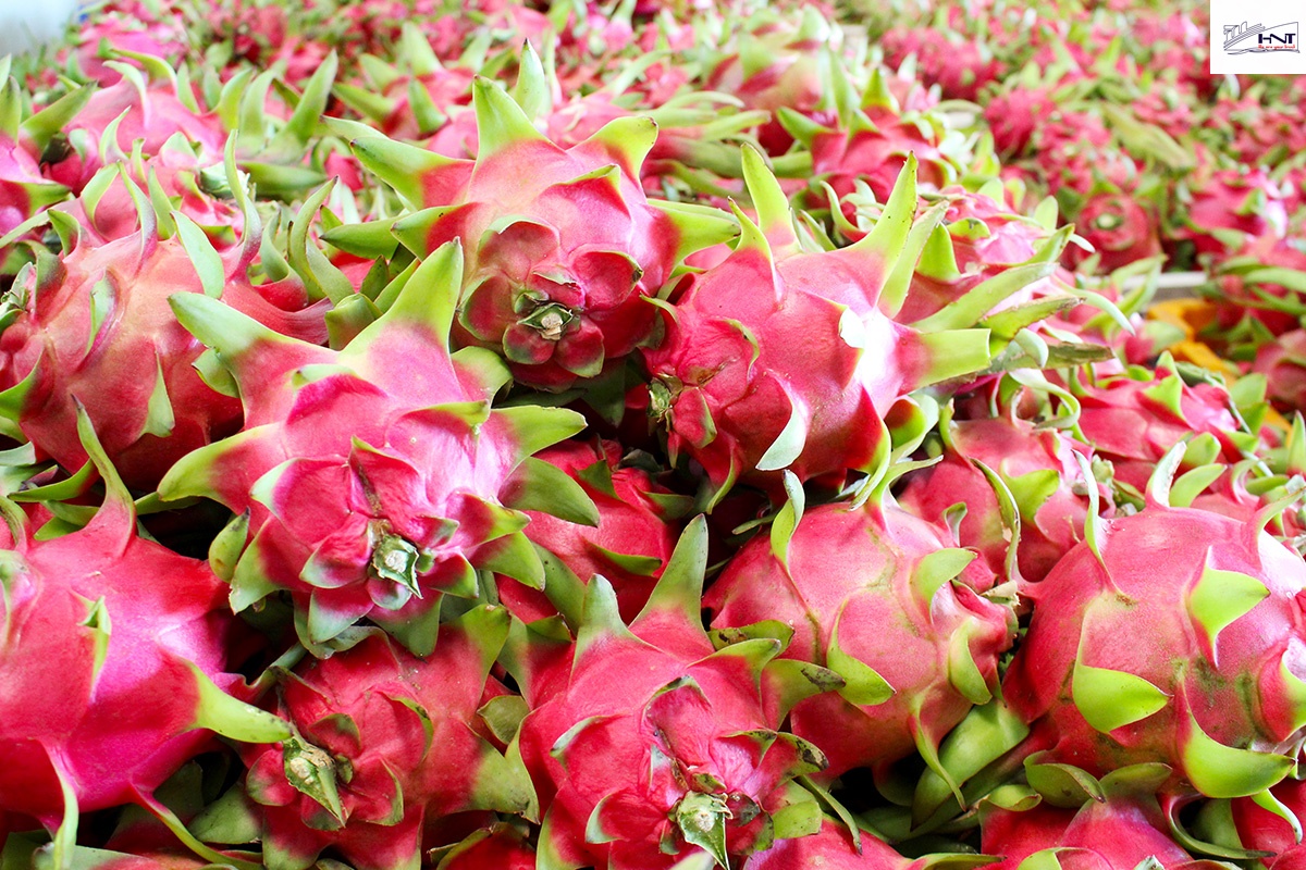 Law Exporting Food To Australia: What you Need to Know - TRADING co ...